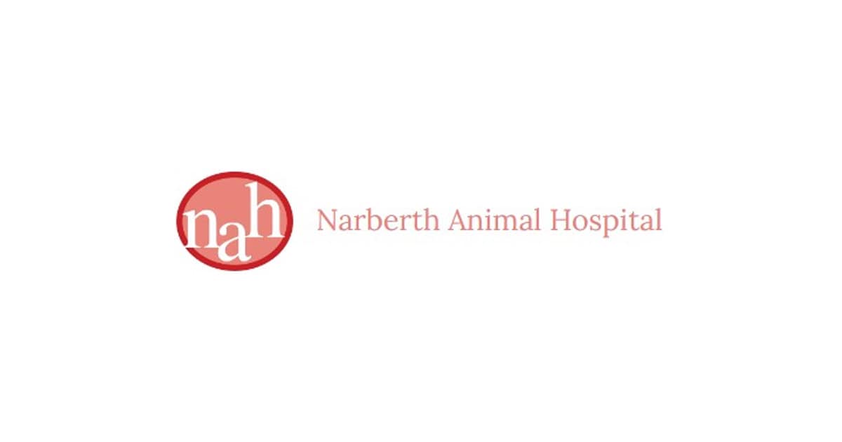Narberth Animal Hospital in Narberth, PA